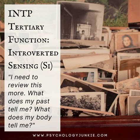 The Intp Cognitive Function Stack Psychology Junkie