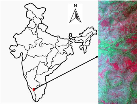 Figure 1 From Invasive Plant Species Detection In Airborne Hyperspectral Imagery Over Complex