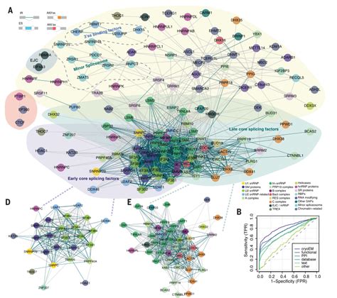 Science重磅：首个人类剪接体结构图谱揭示rna剪接调控未解之谜 文献解读 市场与支持 武汉贝纳科技有限公司
