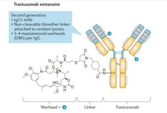 首款FRα ADC药物突出重围获FDA加速批准治疗难治性卵巢癌 医学界 助力医生临床决策和职业成长