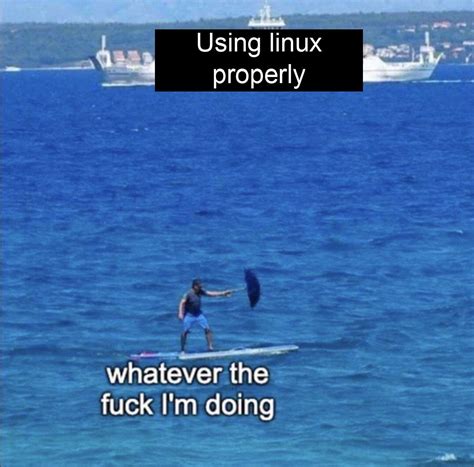 Me When I Just Installed Linux R Linuxmemes