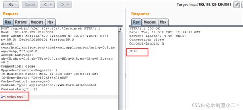 apache server漏洞（cve 2021 41773） csdn博客