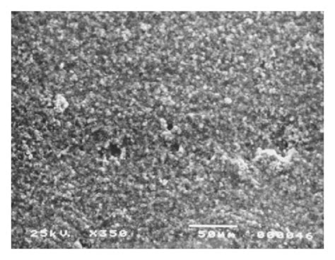 surface morphologies of f cs peg membrane and f cs peg membrane with