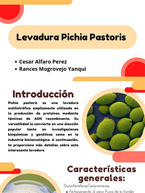 Levadura Pichia Pastoris Descargar Gratis Pdf Levadura Adn Recombinante