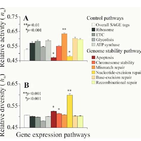 Statistical Comparisons Among Gene Expression Pathways According To Download Scientific Diagram