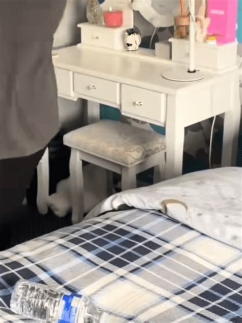 Beckijones4 84 Wibble Wobble Wibble Wobble Take Away Her Plate Page 38 Tattle Life