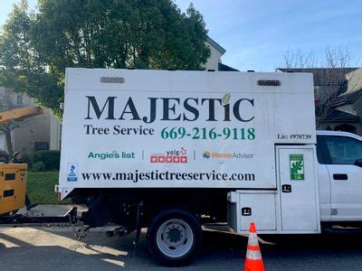 The 10 Best Affordable Tree Services Near Me With Free Estimates