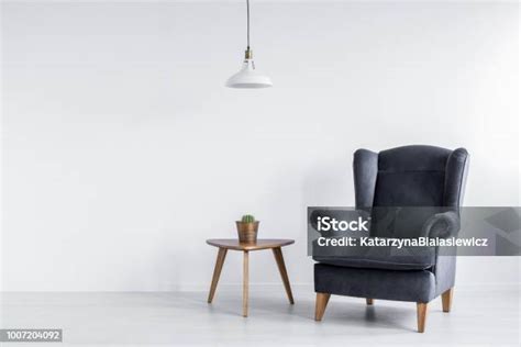 어두운 회색 안락의 자 서 찬에 대 한 빈 공간을 가진 밝은 룸 인테리어에 선인장과 나무 끝 테이블 옆의 실제 사진 0명에 대한 스톡 사진 및 기타 이미지 Istock