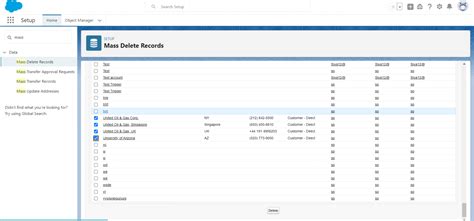 Mass Delete Records Using List View Button