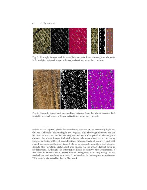 Autocount Unsupervised Segmentation And Counting Of Organs In Field