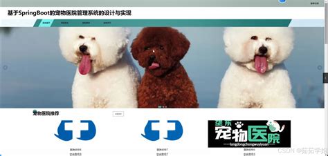 Springboot毕设基于的宠物医院管理系统的设计与实现源码论文部署 Csdn博客