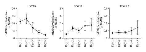 Differentiation Of Hipscs Into De Definitive Endoderm Cells A Download Scientific Diagram