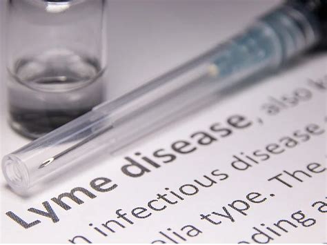Lyme Disease Causes Symptoms Diagnosis And Treatment