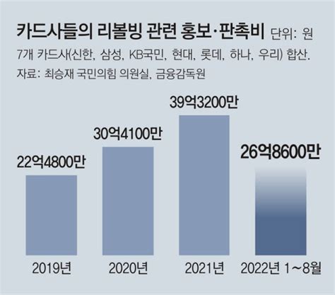 [단독]카드값은 내달에 리볼빙 홍보에 120억