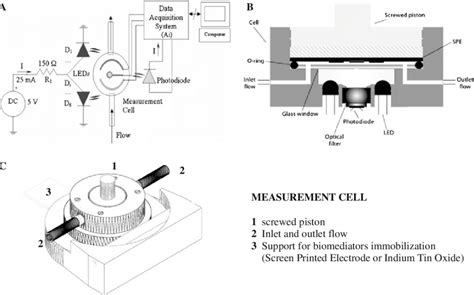 A Scheme Of The Amperometric Multi Biosensor B Section Of The Download Scientific Diagram