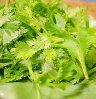 盐荽图册 360百科