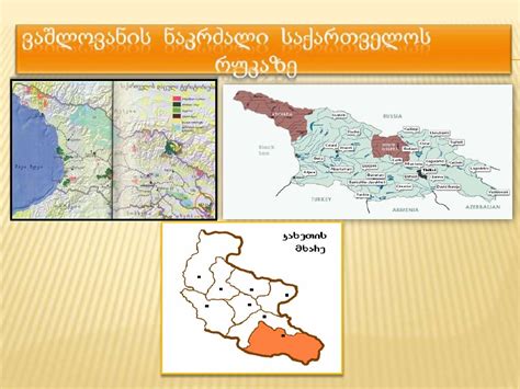 ვაშლოვანის ნაკრძალი