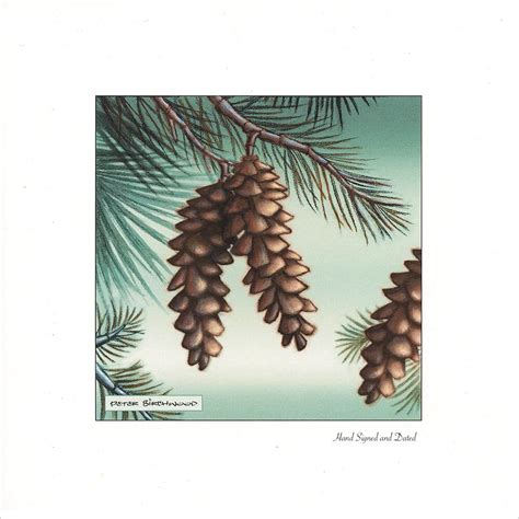 Whispering Pines Pinecone Print Hayward Wisconsin Retro Print