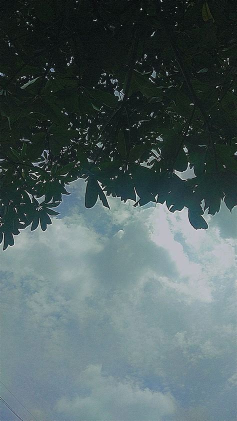 anantha krishnan on linkedin presence