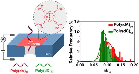 Discrimination Of Short Ssdna Using Nanopore Fabricated Self Assembled Metal Organic Framework