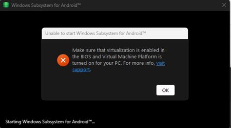 I Cant Open Wsa Due To Virtualization Issue And Also A Issue With