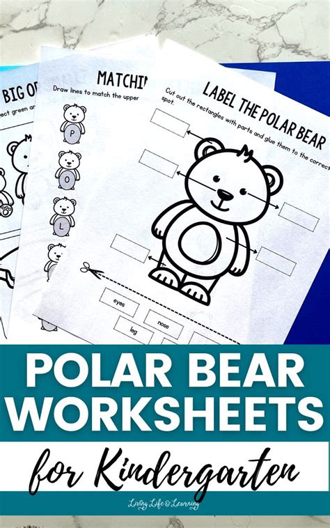 Polar Bear Worksheets For Kindergarten Worksheets Library