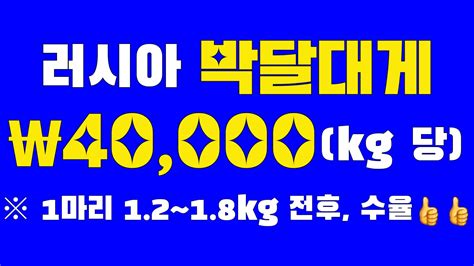 울산처용수산 대게 홍게 킹크랩 대게택배 울산 회 울산맛집 Band