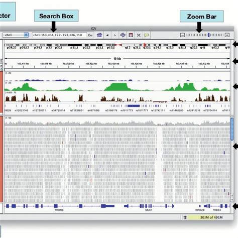 Pdf Integrative Genomics Viewer Igv High Performance Genomics Data Visualization And