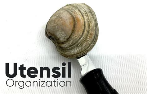The Clam Knife Kitchen Tools