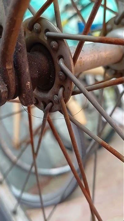 내 자전거 앞바퀴에 호랑이 털이 끼여있어요 Youtube