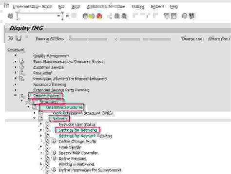 Define Network Profiles In SAP