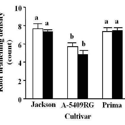 Soybean Root System Architecture Schematic Representation Of The Download Scientific Diagram