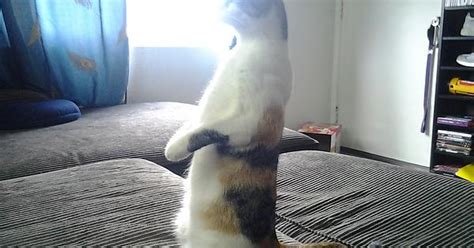 Awake Album On Imgur