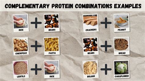 Nutrition Plant Based Diet The Essential Tips Monaco Life