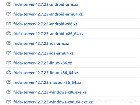 一文带你轻松入门frida框架,编写hook脚本frida使用教程csdn Csdn博客 一文带你轻松入门frida框架,编写hook脚本frida使用教程csdn Csdn博客