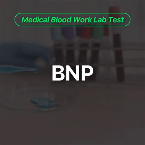 BNP Blood Work Lab Test Wittmer Rejuvenation Clinic
