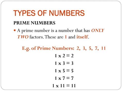 Mathematics For Grade 6 Prime Numbers Pdf