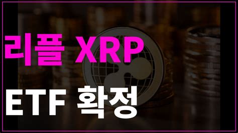 리플 깜짝 Etf 승인리플속보 리플 Youtube