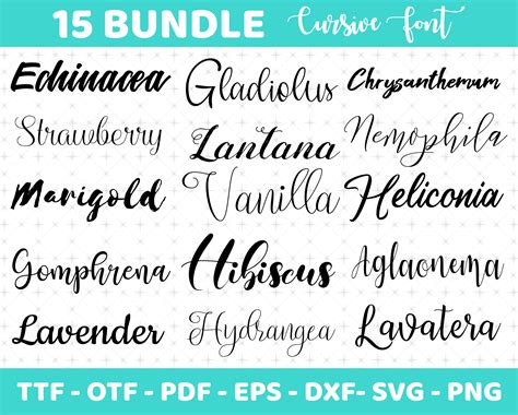 Cursive Fonts Bundle Cursive Fonts For Cricut Cursive Font Bundle Fonts A Visual Reference Of