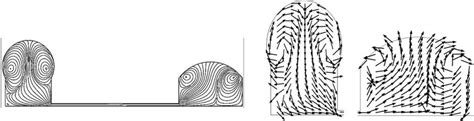 The Streamlines For The Whole Computational Domain Left And The