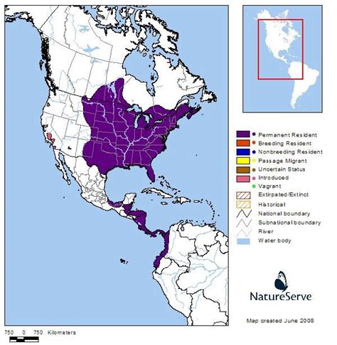 Common Snapping Turtle Range Common Snapping Turtle Snapping Turtle Map