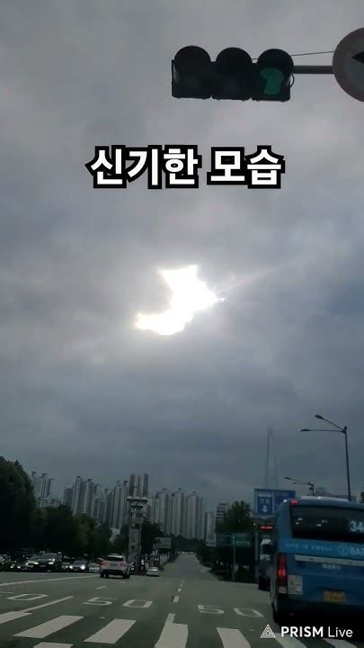 신기한 모습 Youtube