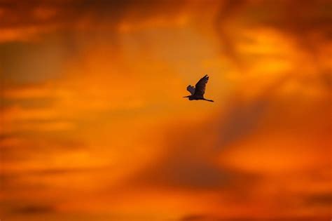 Nested Recyclerview Multi Viewtype Part 4 By Mobile Alchemist Jan 2025 Medium