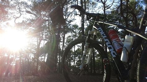 Thomas Ellinger Bicycles Schwabach