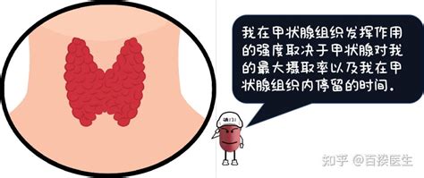 甲亢诊治为什么要做吸碘率检查 知乎
