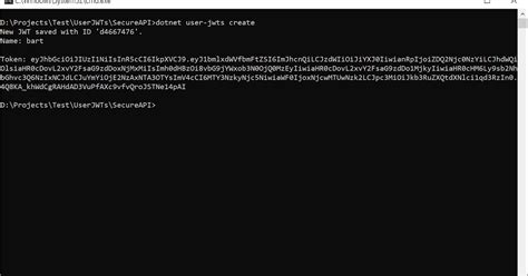 testing a token protected api using user jwts