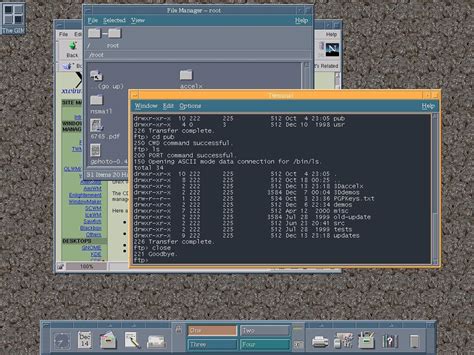 Window Managers For X CDE
