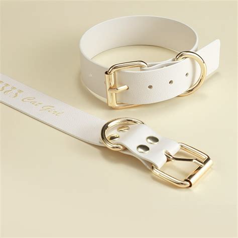 Kitty Luxury Bondage Kit 8 Piece Allureluv