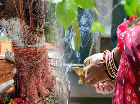 Vat Purnima 2023 वटपौर्णिमा व्रत पूजा झाल्यानंतर आवर्जून म्हणा