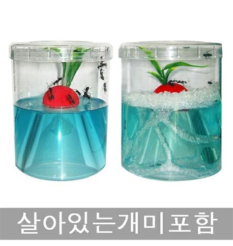 살아있는 개미가 포함된 개미키우기세트 개미집 곤충 생물키우기 개미사육장 앤트빌 어린이선물 어린이집 유치원 티몬